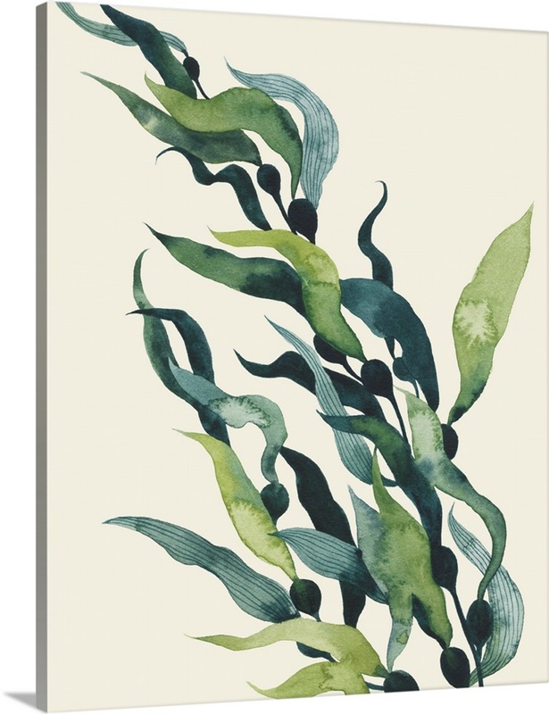 Through The Kelp I | Great Big Canvas