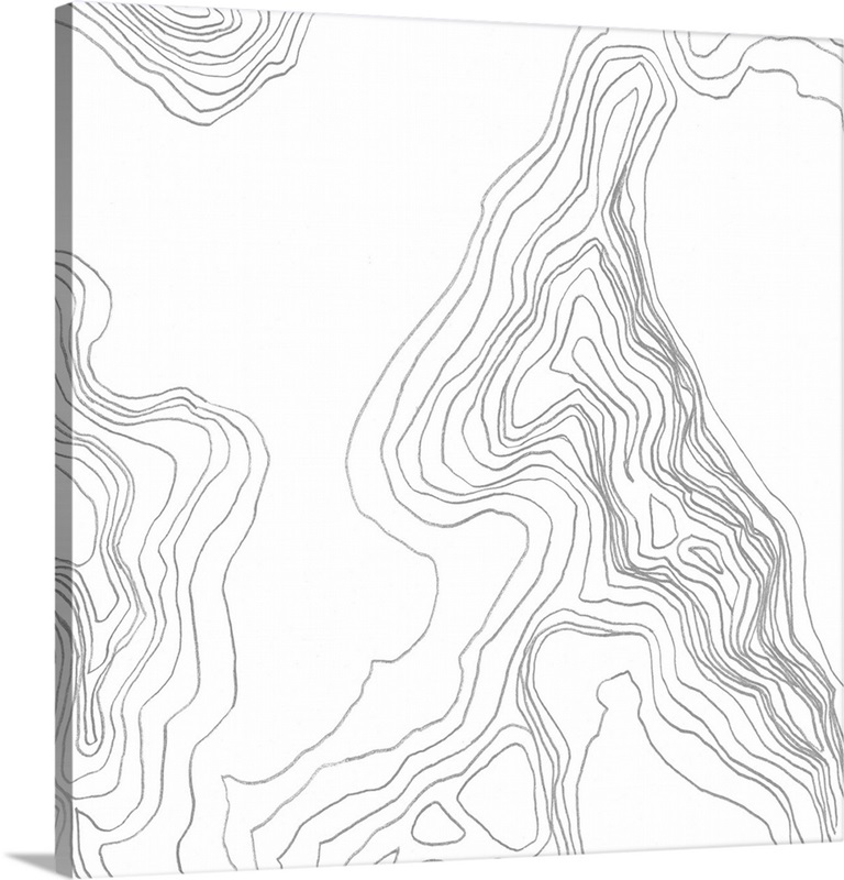 Topography Contour IV | Great Big Canvas