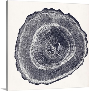 Tree Ring III Wall Art, Canvas Prints, Framed Prints, Wall Peels ...