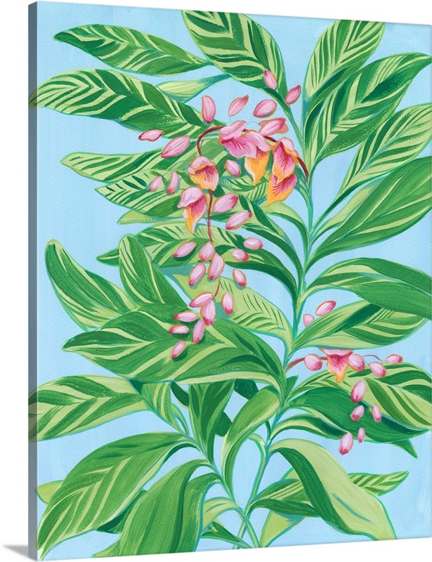 Tropical Shell Ginger II | Great Big Canvas