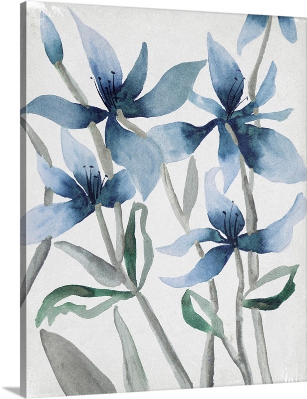 Veil Of Midnight Flora II | Great Big Canvas