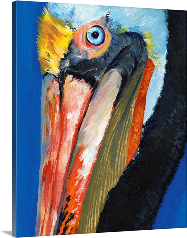 Vibrant Pelican I | Great Big Canvas