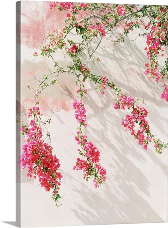 Vines In Pink | Great Big Canvas