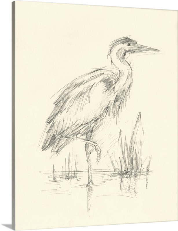 Waterbird Sketchbook Study I | Great Big Canvas
