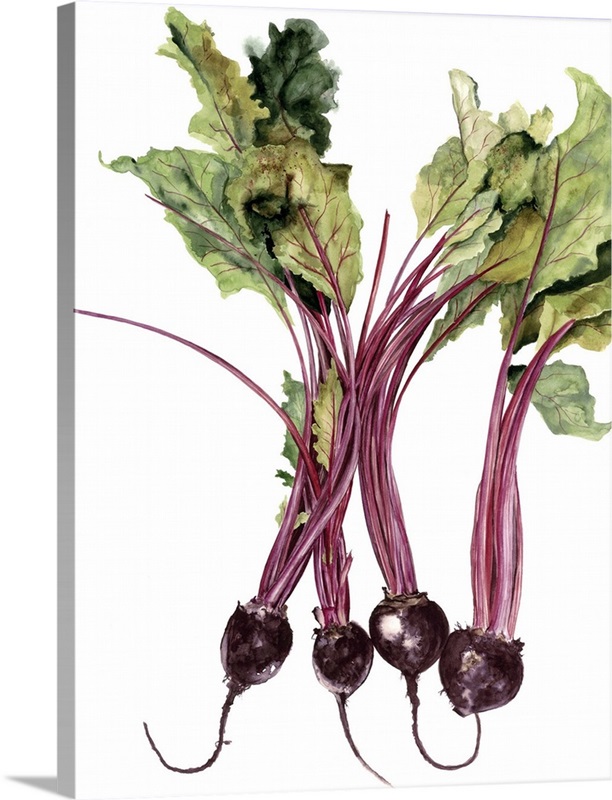 Watercolor Beets | Great Big Canvas