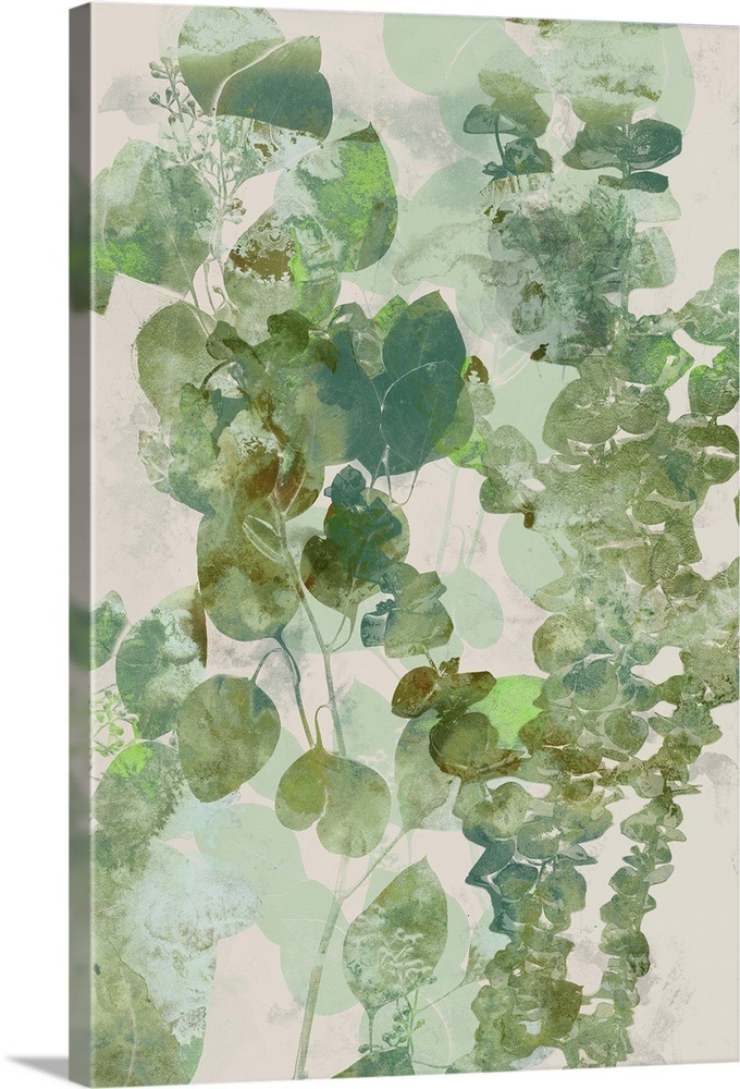 Watercolor Eucalyptus II Wall Art, Canvas Prints, Framed Prints, Wall ...