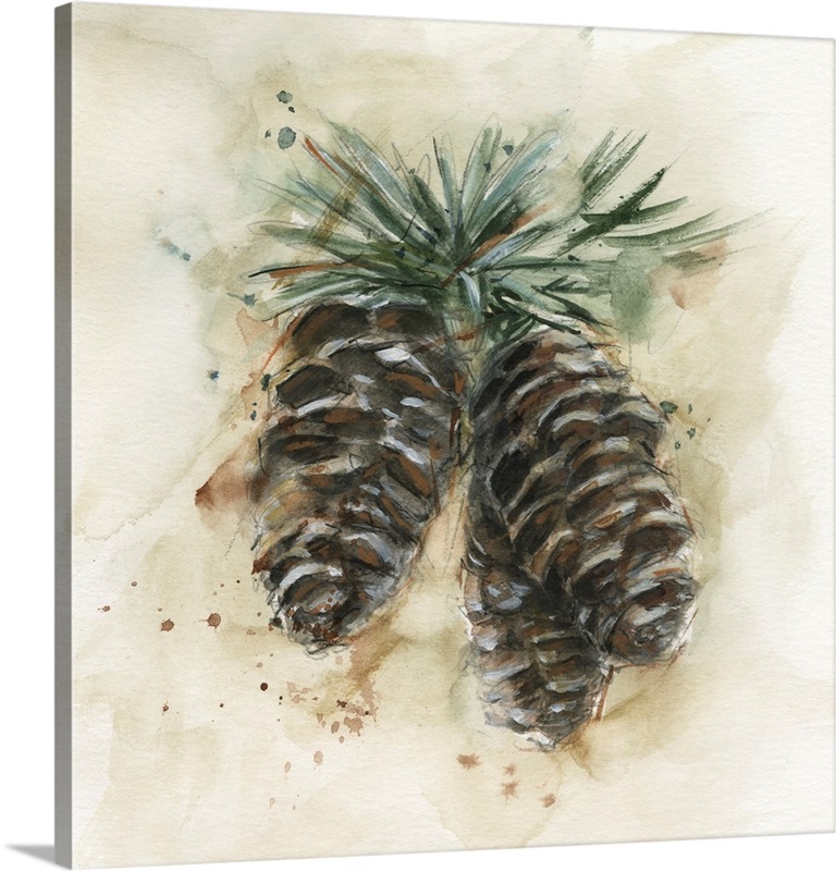 Watercolor Pinecone Study II | Great Big Canvas