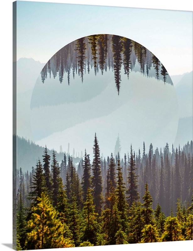 Western Treetops IV | Great Big Canvas