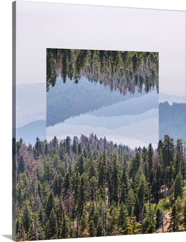 Western Treetops V | Great Big Canvas