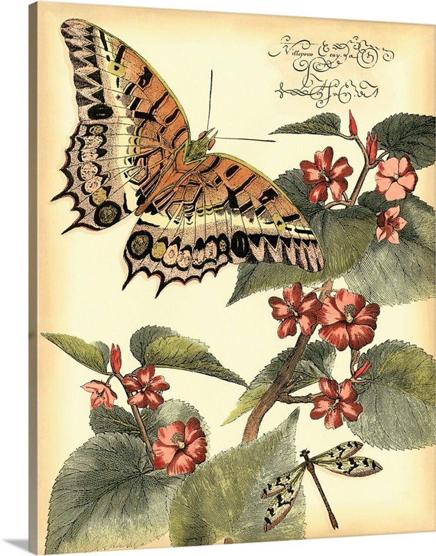 Whimsical Butterflies II | Great Big Canvas