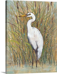 White Egret I Wall Art, Canvas Prints, Framed Prints, Wall Peels ...