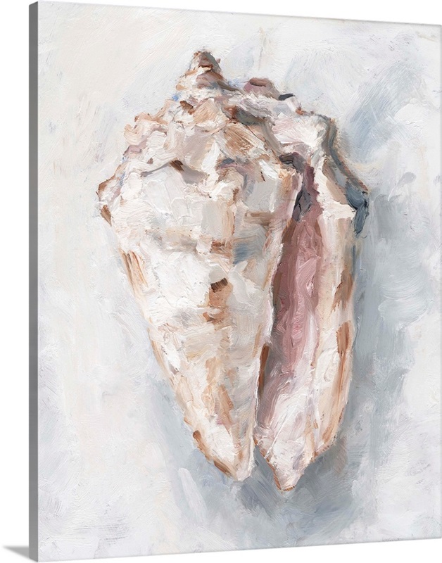 White Shell Study II | Great Big Canvas