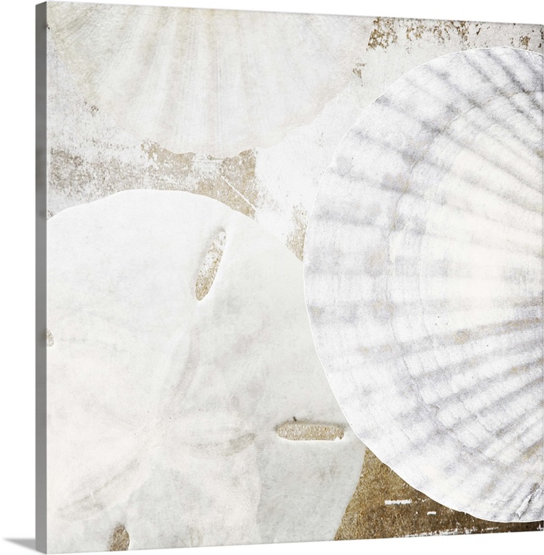 White Shells II | Great Big Canvas
