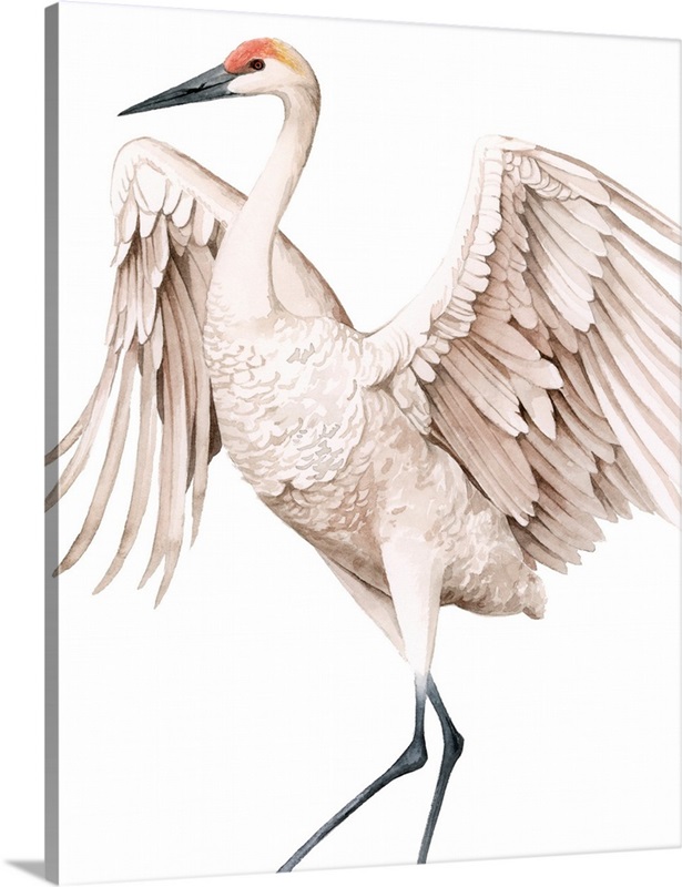 Whooping Crane II | Great Big Canvas