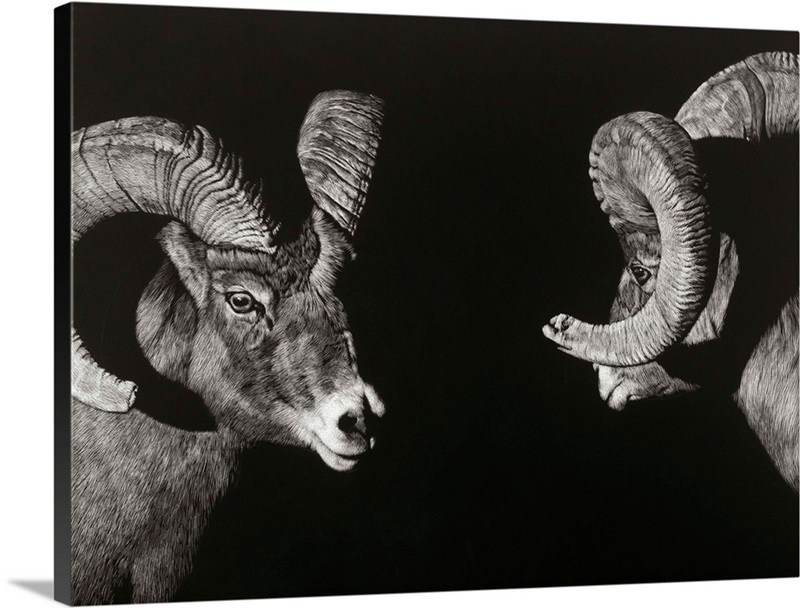 Wild Scratchboard I | Great Big Canvas