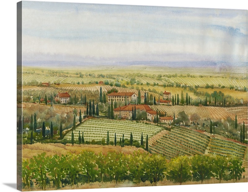Wine Country View II | Great Big Canvas