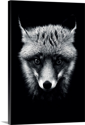 Dark Fox Wall Art, Canvas Prints, Framed Prints, Wall Peels | Great Big ...