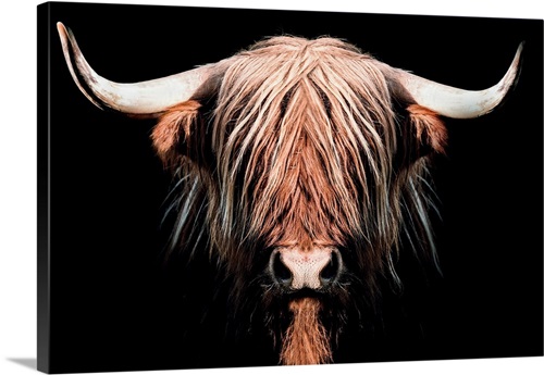 Dark Highlander | Great Big Canvas