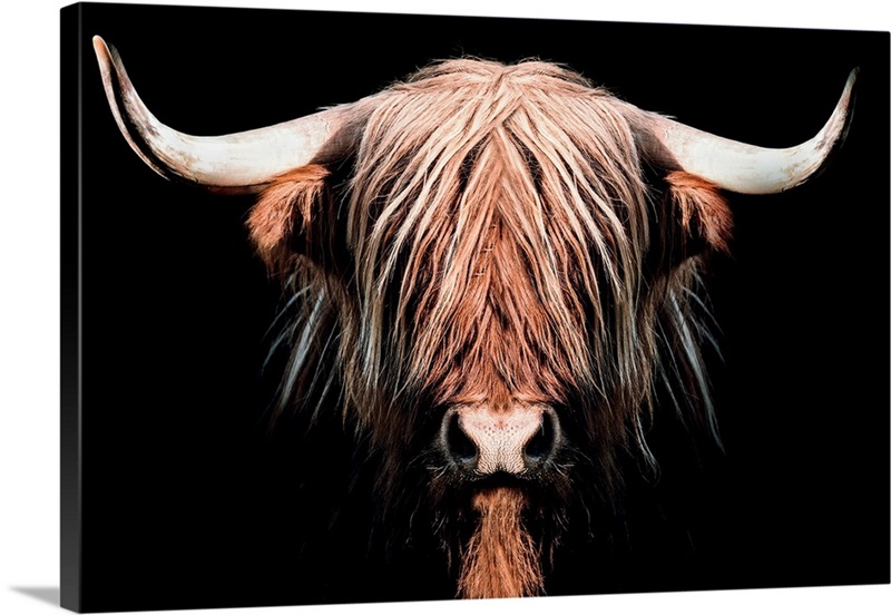 Dark Highlander | Great Big Canvas