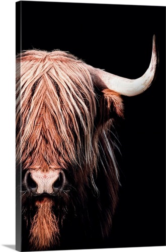 Dark Highlander 2 | Great Big Canvas