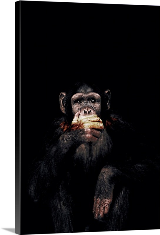Dark Monkey Speak No Evil | Great Big Canvas
