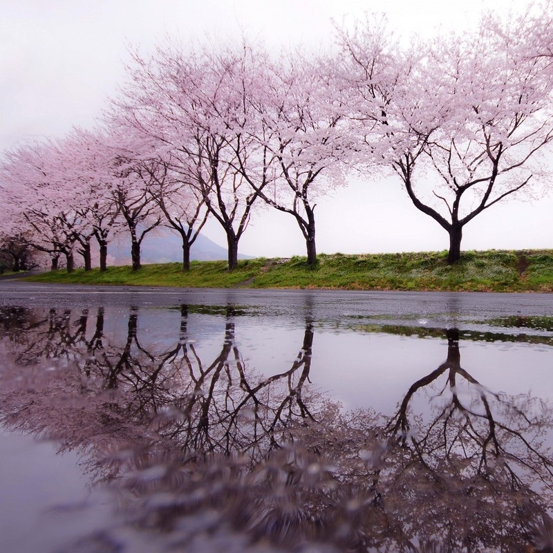 Kouji Tomihisa Wall Art & Canvas Prints | Great Big Canvas