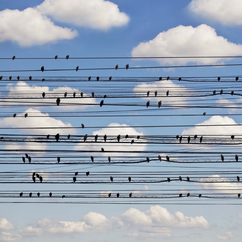 Jared Lim Wall Art & Canvas Prints | Jared Lim Panoramic Photos ...