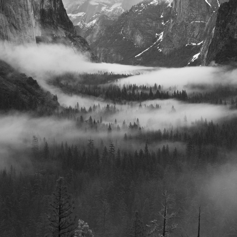 Hong Zeng Wall Art & Canvas Prints | Great Big Canvas