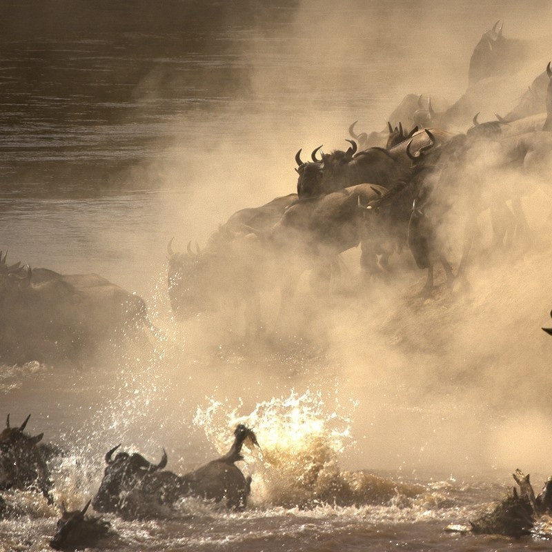 Adrian Wray Wall Art & Canvas Prints | Great Big Canvas