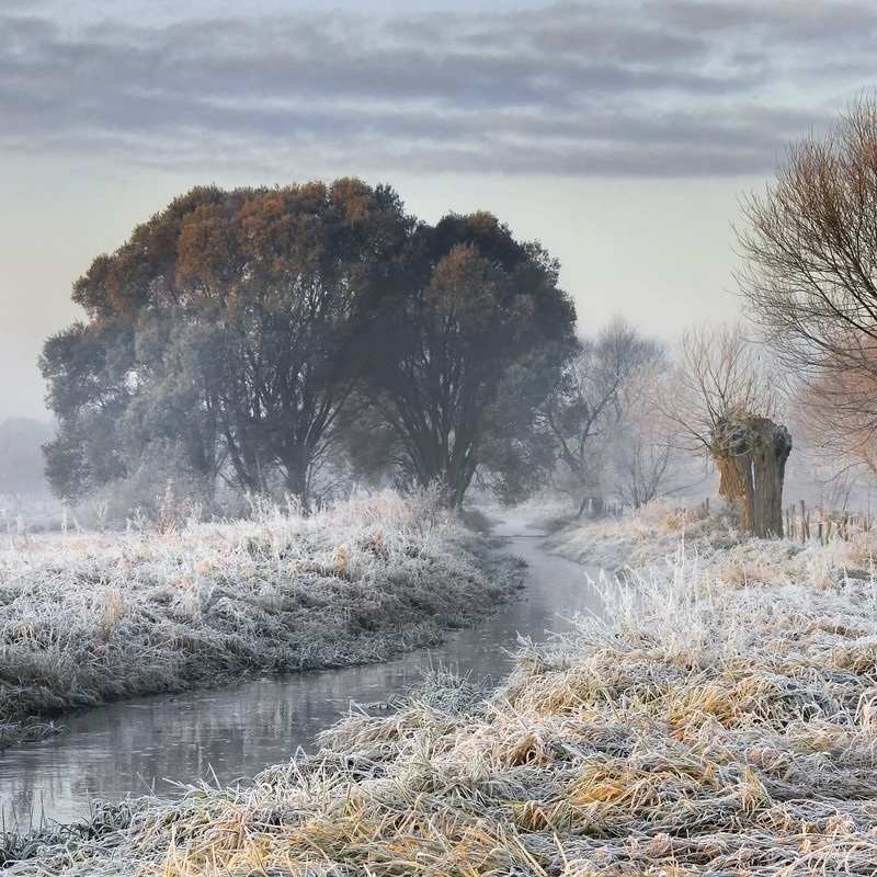 Roman Lipinski Wall Art & Canvas Prints | Great Big Canvas