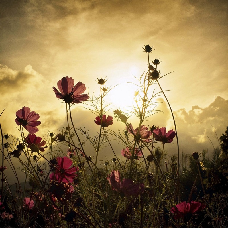 Christian Marcel Wall Art & Canvas Prints | Great Big Canvas