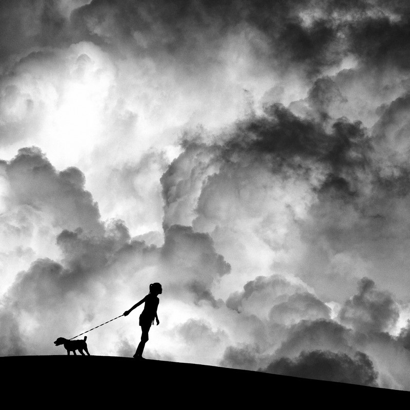 Hengki Lee Wall Art & Canvas Prints | Great Big Canvas