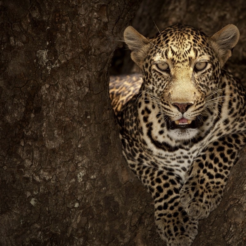 Ozkan Ozmen Wall Art & Canvas Prints | Great Big Canvas