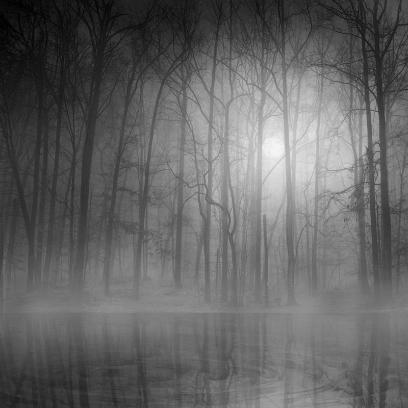 Beth Lutz Wall Art & Canvas Prints | Beth Lutz Panoramic Photos ...