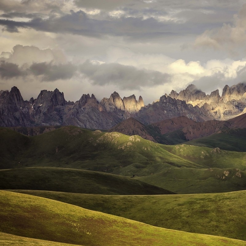 James Yu Wall Art & Canvas Prints | Great Big Canvas