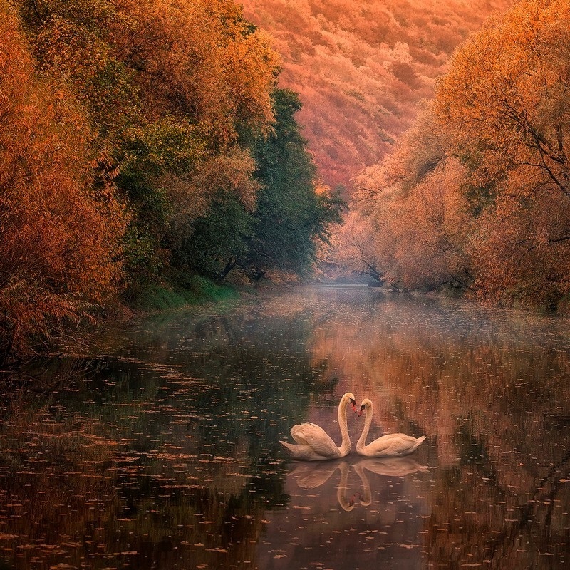 Stanislav Hricko Wall Art & Canvas Prints | Great Big Canvas