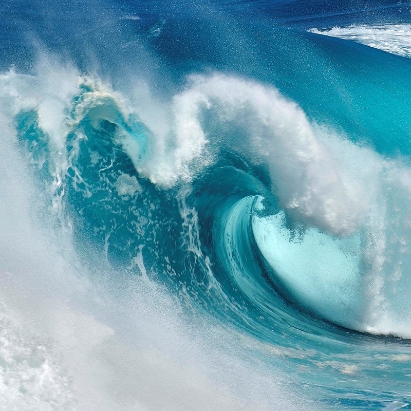 Daniel Montero Wall Art & Canvas Prints | Great Big Canvas