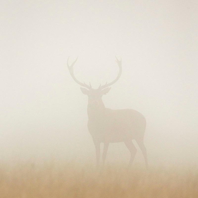 Stuart Harling Wall Art & Canvas Prints | Great Big Canvas