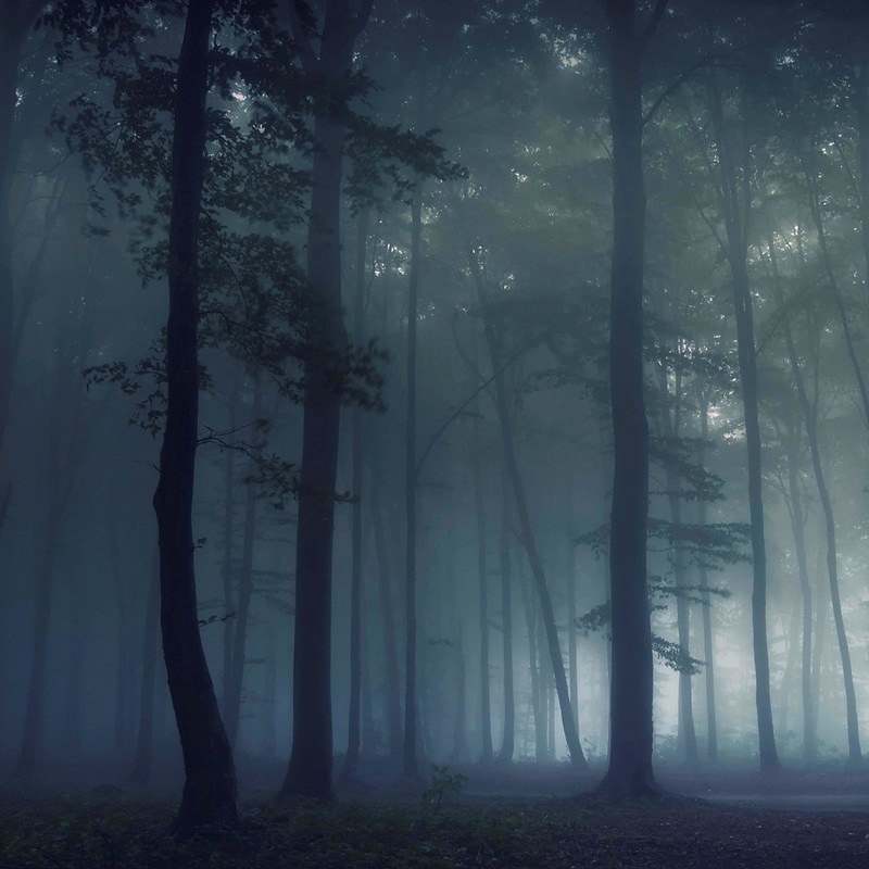 Photo Cosma Wall Art & Canvas Prints | Great Big Canvas