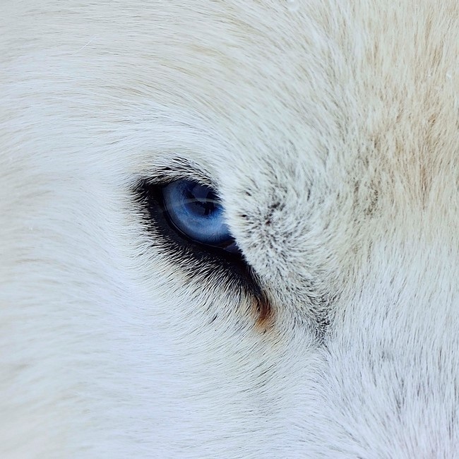 Miquel Angel Artus Wall Art & Canvas Prints | Great Big Canvas