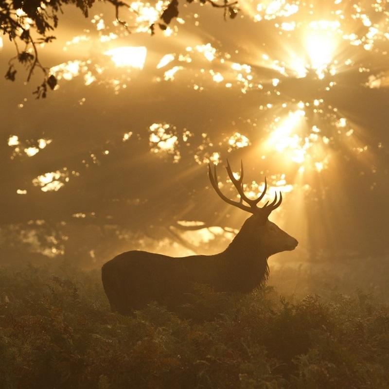 Greg Morgan Wall Art & Canvas Prints | Greg Morgan Panoramic Photos ...