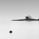 Misty Winter Morning Wall Art, Canvas Prints, Framed Prints, Wall Peels ...