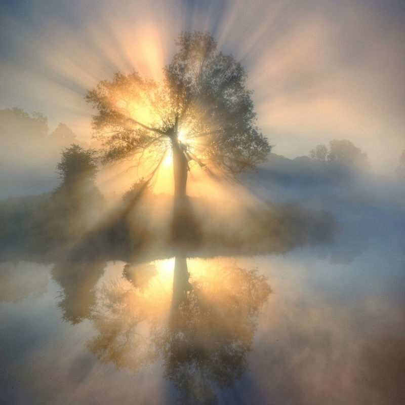 Keller Photography Wall Art & Canvas Prints | Keller Photography ...