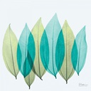 X-Ray Leaves x-ray photography Wall Art, Canvas Prints, Framed Prints ...