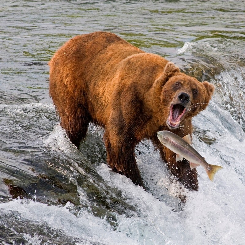 Kenneth Whitten Wall Art & Canvas Prints | Great Big Canvas