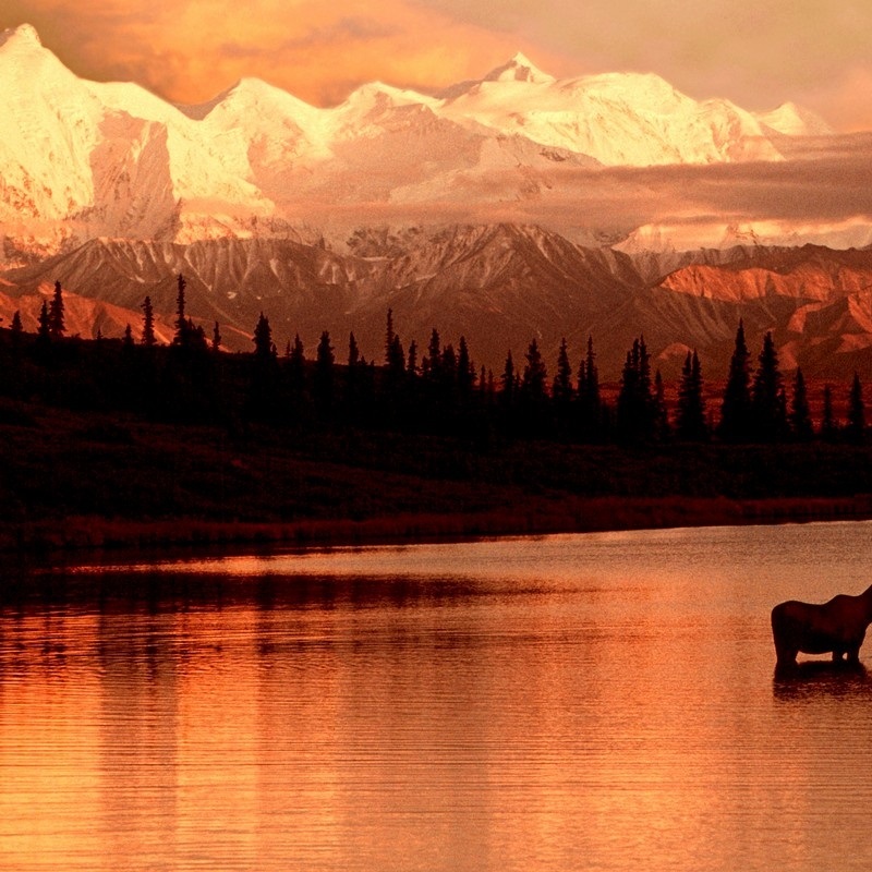 Ron Sanford Wall Art & Canvas Prints | Great Big Canvas