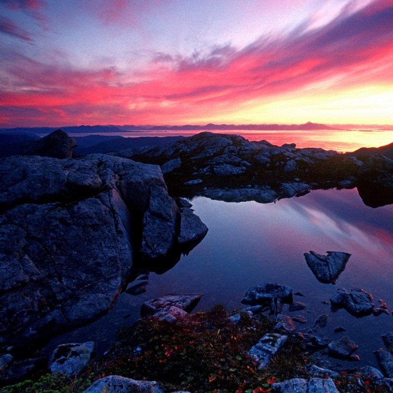 Chip Porter Wall Art & Canvas Prints | Great Big Canvas