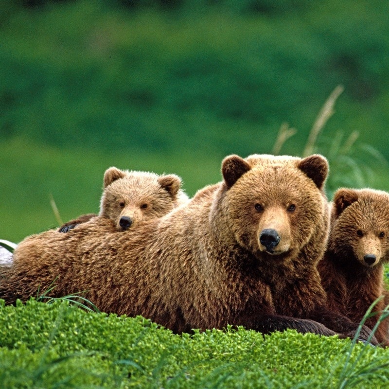 Jo Overholt Wall Art & Canvas Prints | Jo Overholt Panoramic Photos ...