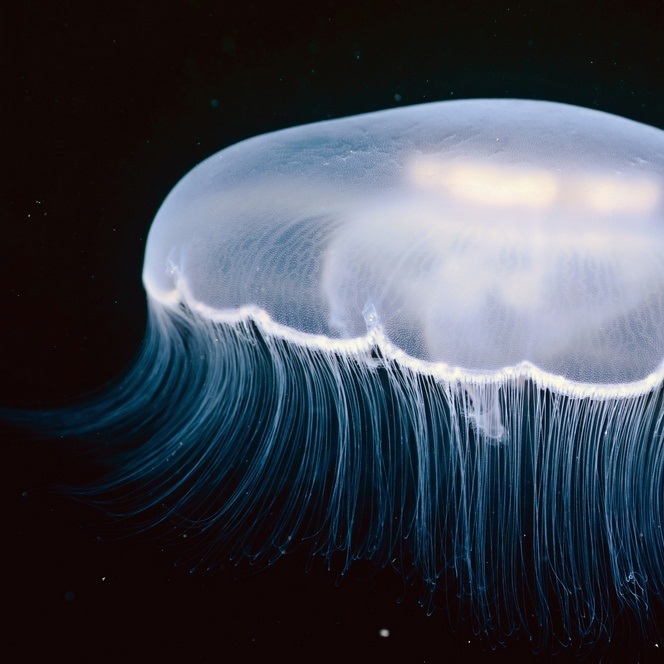 Thomas Kline Wall Art & Canvas Prints | Great Big Canvas