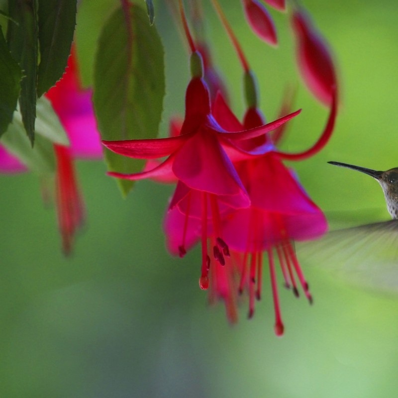 Raven Regan Wall Art & Canvas Prints | Great Big Canvas